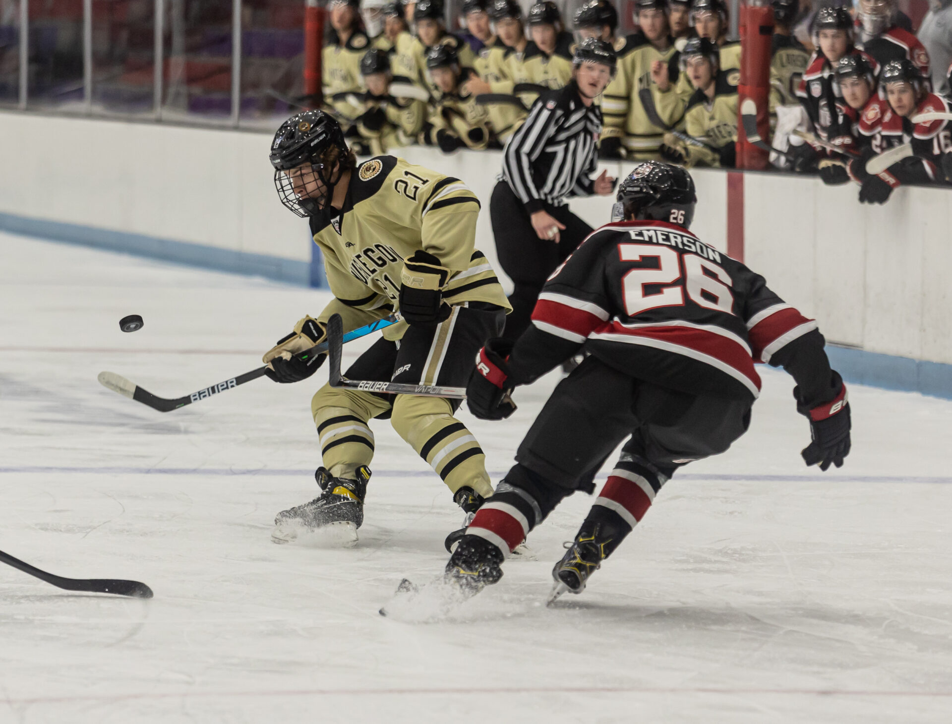 After spending two full seasons with his hometown team, Noah Ellis was ...