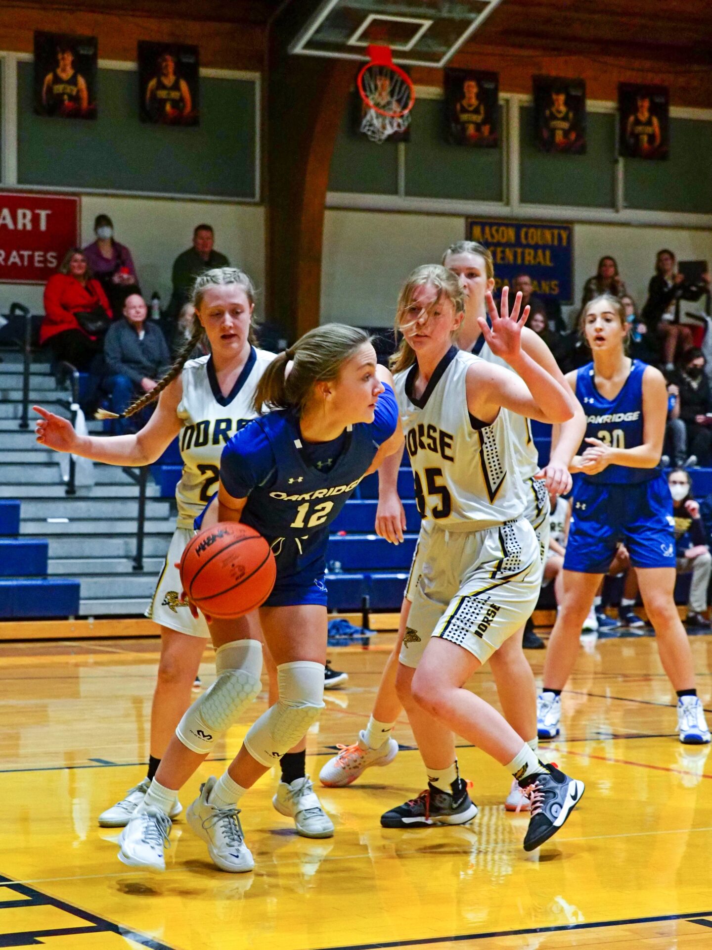 Young players Anna Lundquist and Destyni Lane shine as Oakridge downs ...